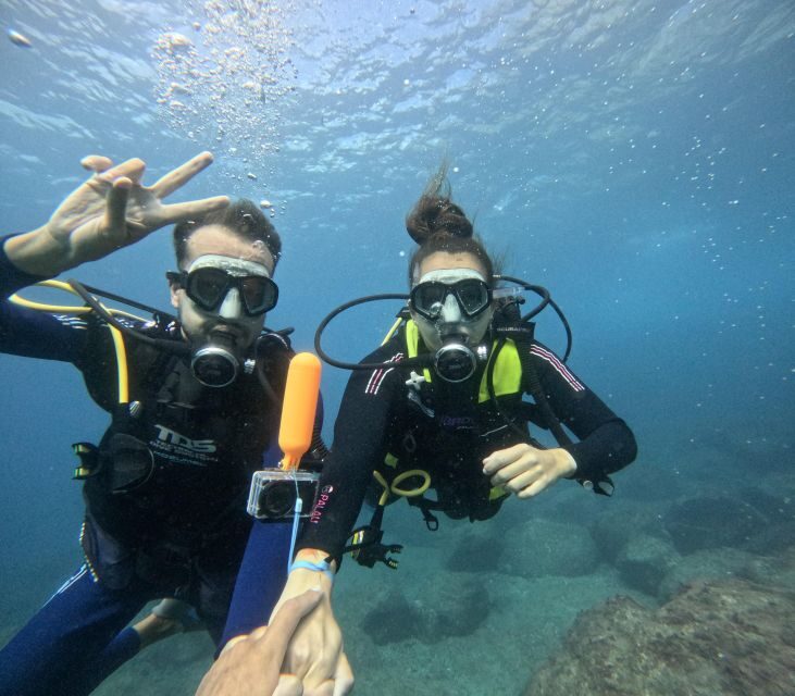 Tenerife: Beginner's Dive at a Spot with Turtle Sightings - FAQ