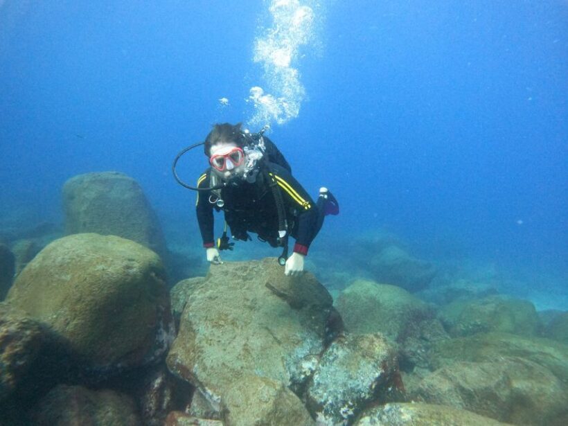 Tenerife: Beginners Scuba Dive Experience in Turtle Area - An Honest Look at the Experience in Tenerife