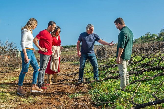 Tenerife Bodegas Monje Winery Tour With Wine and Cheese Tasting - Guest Reviews and Feedback