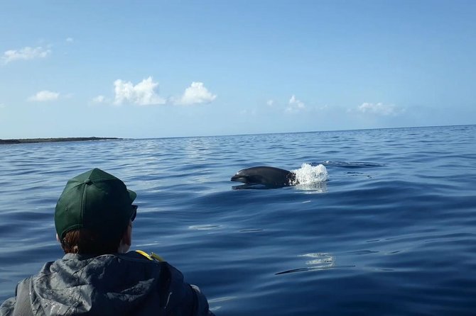 Tenerife by Kayak Adventure in Small Group - Health and Safety Considerations