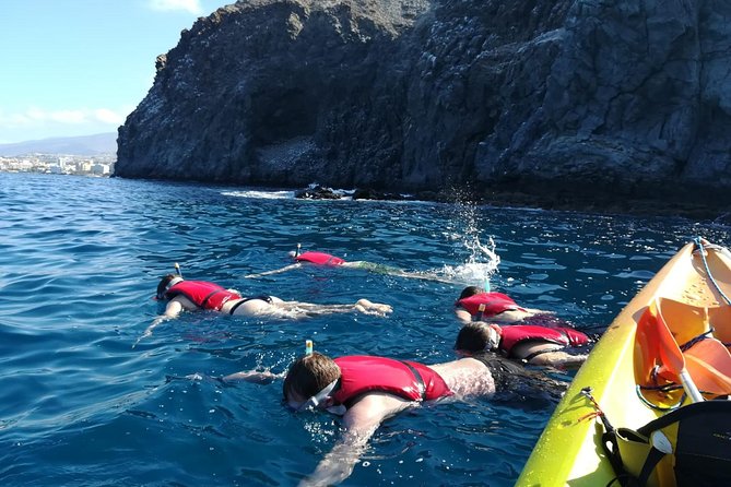 Tenerife by Kayak Adventure in Small Group - Traveler Experiences and Reviews