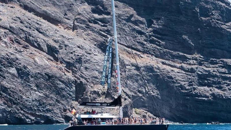 Tenerife: Catamaran Cruise with an Open Bar - An Overview of the Tenerife Catamaran Experience