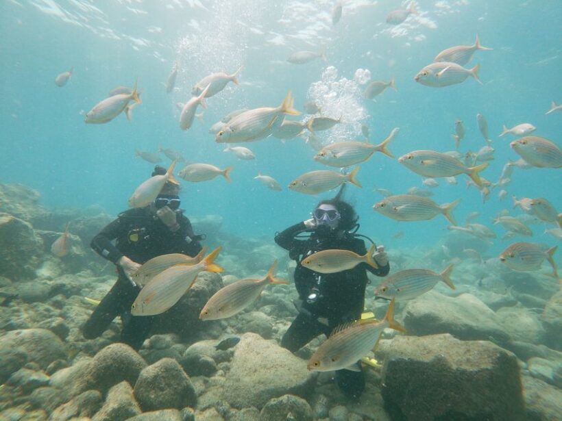 Tenerife: Costa Adeje Private Diving Lesson Experience - An In-Depth Look at the Experience