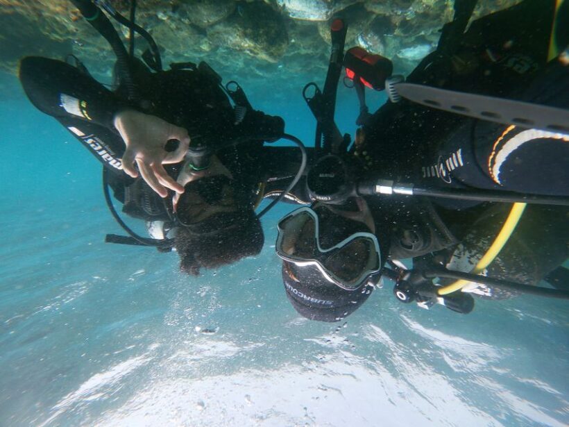 Tenerife: Costa Adeje Private Diving Lesson Experience - FAQ