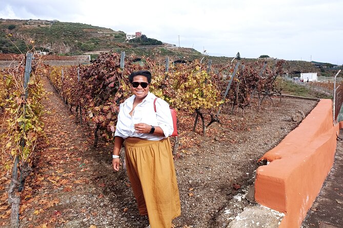 Tenerife Culture, History and Wine Private Tour - FAQ