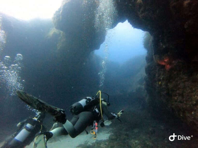 Tenerife - Discover Scuba Diving Experience with Instructor - Final Thoughts: Is It Worth It?