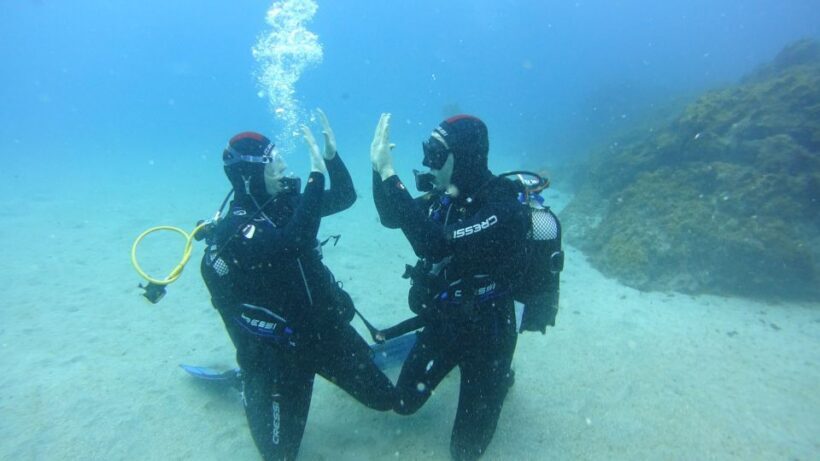 Tenerife: Discover Scuba Diving with Free Photos - What Makes This Tour Stand Out?
