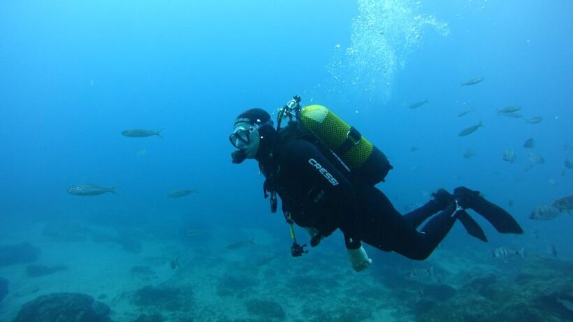 Tenerife: Discover Scuba Diving with Free Photos - The Value of the Experience
