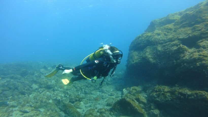 Tenerife: Discover Scuba Diving with Free Photos - Authentic Feedback from Travelers