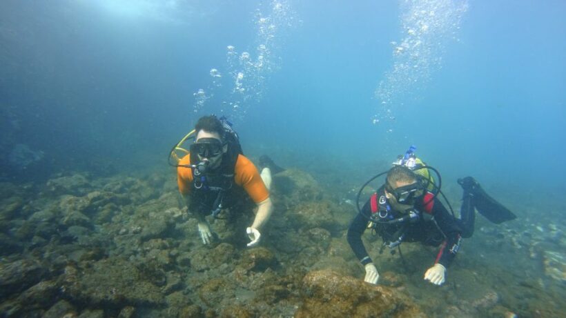 Tenerife: Discover Scuba Diving with Free Photos - Who Will Love This Experience?