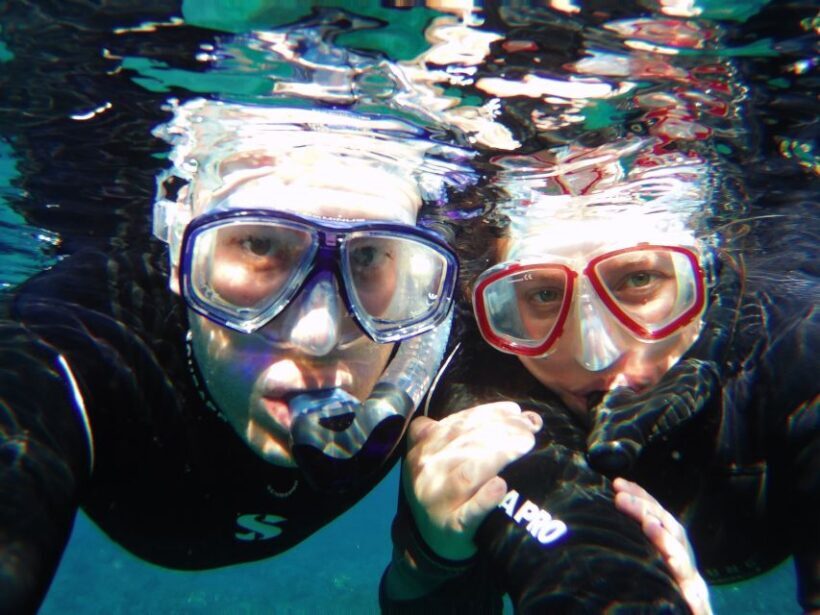 Tenerife Exclusive Snorkeling Trip with Marine Biologist - Who This Tour Is Best For