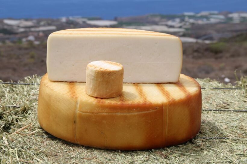 Tenerife - Farm Tour with Cheese Tasting - Introducing the Experience