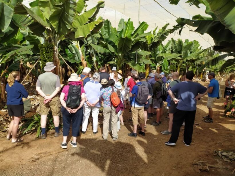 Tenerife: Finca Las Margaritas Banana Plantation Experience - Practical Tips for Visiting