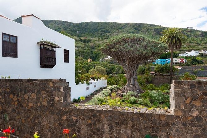 Tenerife Full Island Tour - Feedback and Ratings