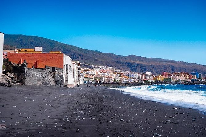 Tenerife Full Island Tour - Tour Accessibility