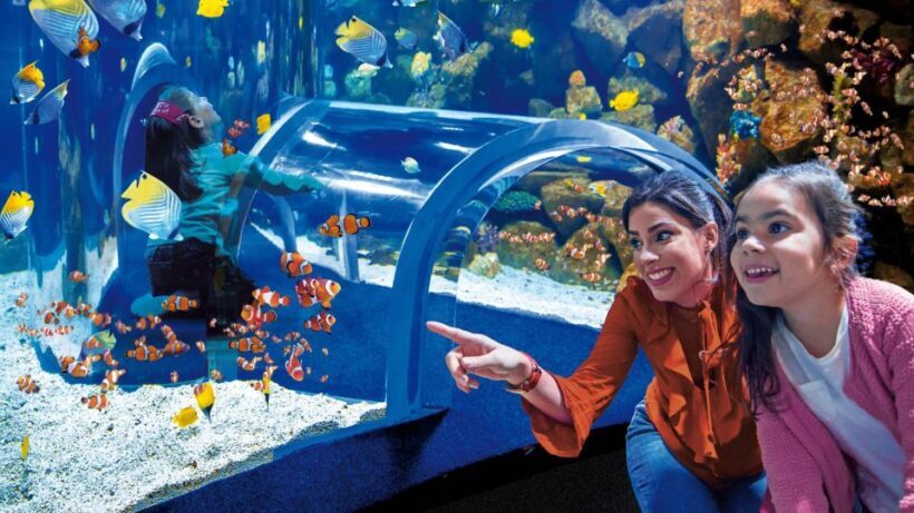 Tenerife: Gran Canaria Full-Day Guided Tour with Aquarium - The Itinerary Breakdown: What to Expect from Each Stop