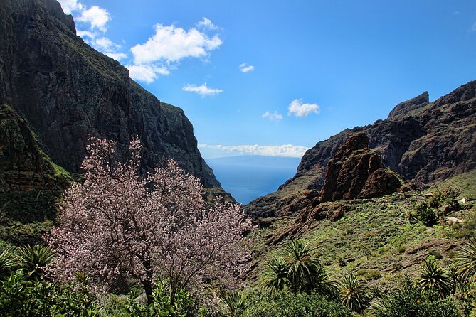 Tenerife Grand Tour: Including Teide National Park and Masca - Exploring Teide National Park