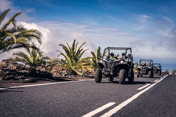 Tenerife Guided Buggy Discovery Tour Around Mount Teide - The Experience in Detail: What to Expect