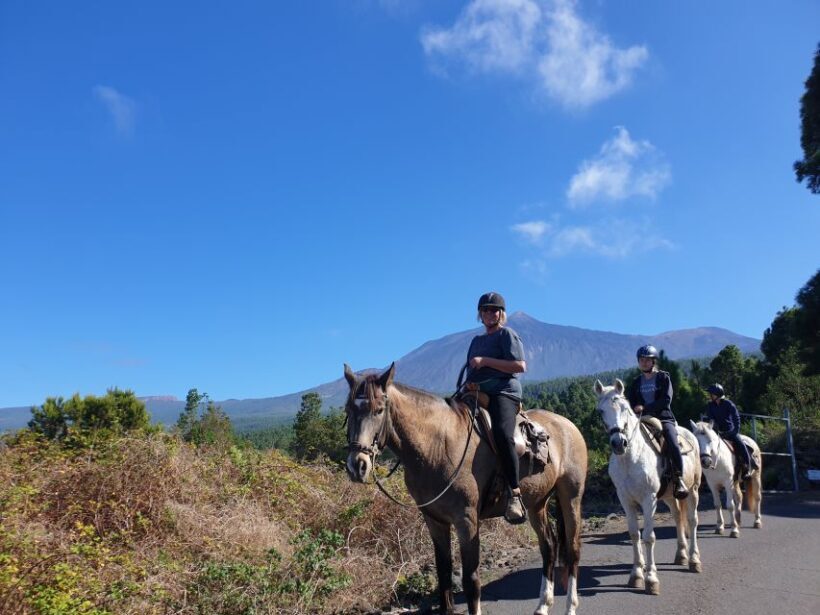 Tenerife: Guided Horseback Riding Tour to the Lomo Forest - An Honest Look at the Experience