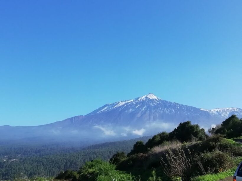 Tenerife: Guided Horseback Riding Tour to the Lomo Forest - Practical Tips for a Smooth Ride