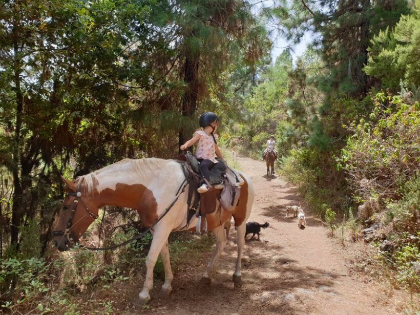 Tenerife: Guided Horseback Riding Tour to the Lomo Forest - FAQ