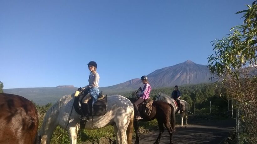 Tenerife: Guided Horseback Riding Tour to the Lomo Forest - Final Thoughts