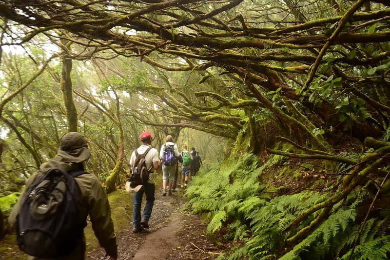Tenerife: Guided tour guide in the Anaga Rural Park - Authentic Experiences and Notable Highlights