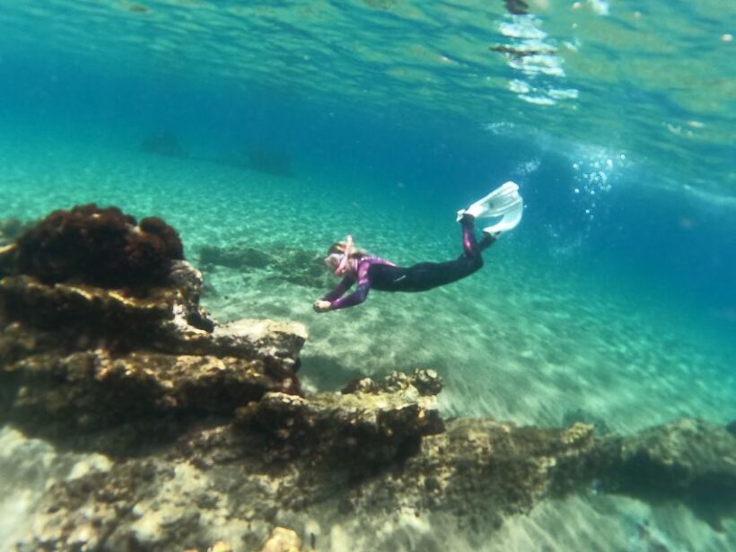 Tenerife: Half-Day Snorkeling Tour - The Community and Reviews