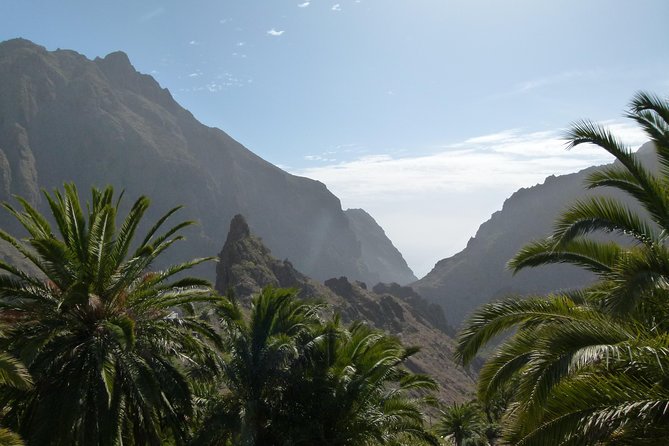 Tenerife Highlights Full-Day Tour - Highlights and Itinerary