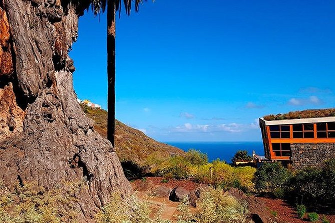 Tenerife Highlights Full-Day Tour - Vilaflor: Charming Village