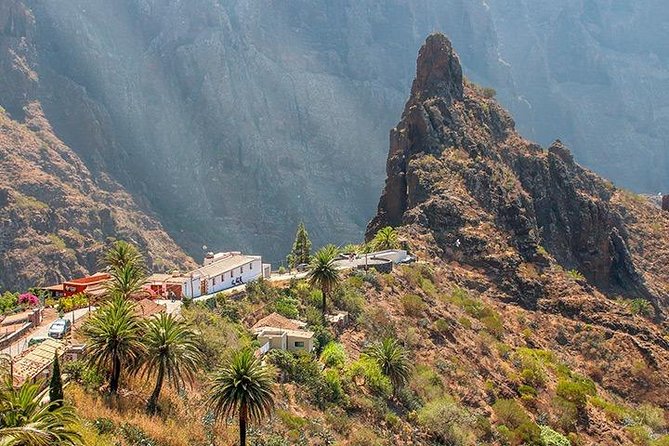 Tenerife Highlights Full-Day Tour - Icod Los Vinos: Drago Tree and Lunch