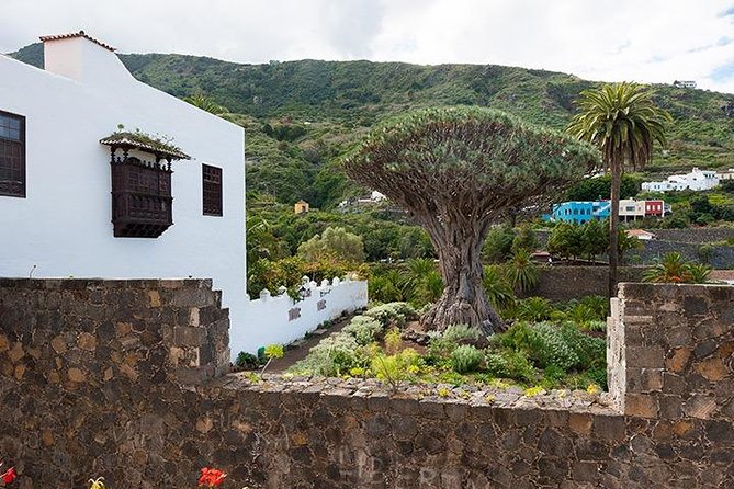 Tenerife Highlights Full-Day Tour - Masca Valley: Breathtaking Canyon Views