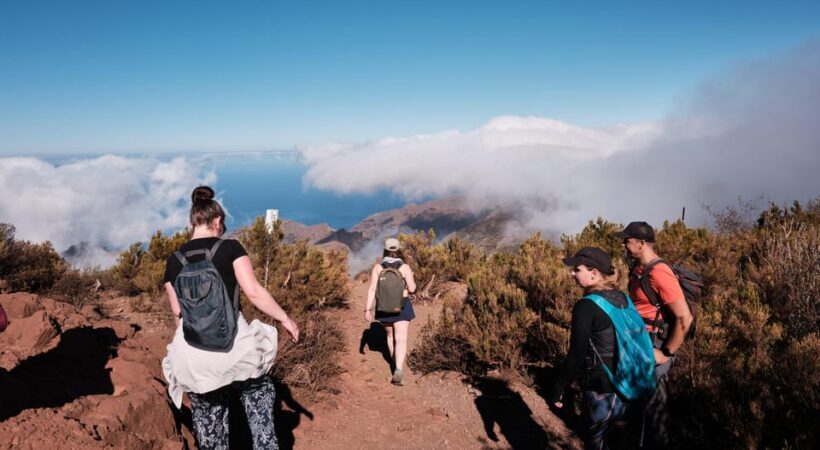 Tenerife: Hiking Tour Above Masca & Enchanted Forest - Key Points