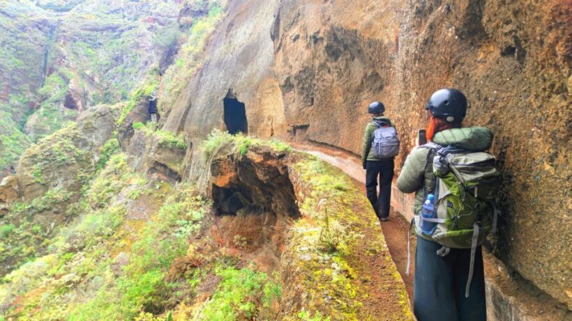 Tenerife: Hiking Tour in Anaga Mountains & Enchanted Forest - An Introduction to the Hiking Experience in Anaga