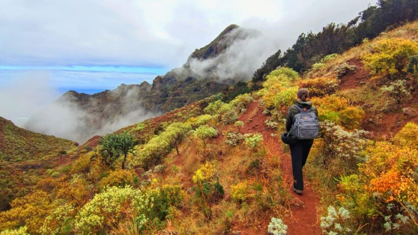 Tenerife: Hiking Tour in Anaga Mountains & Enchanted Forest - The Value and Practicalities