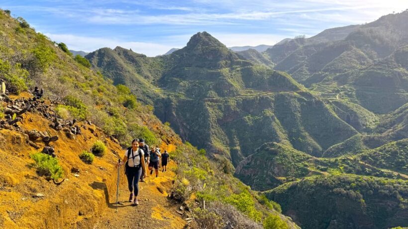 Tenerife: Hiking Tour in Anaga Mountains & Enchanted Forest - The Sum Up
