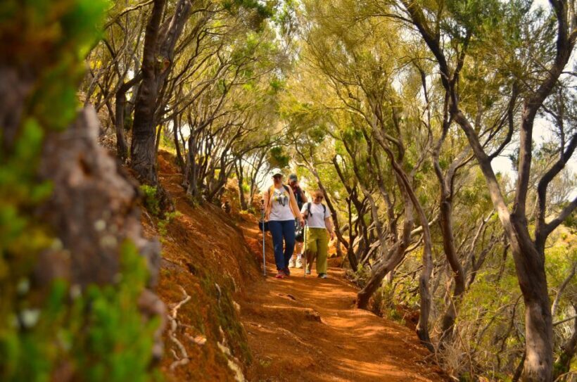 Tenerife: Hiking Tour in Anaga Mountains & Enchanted Forest - FAQs
