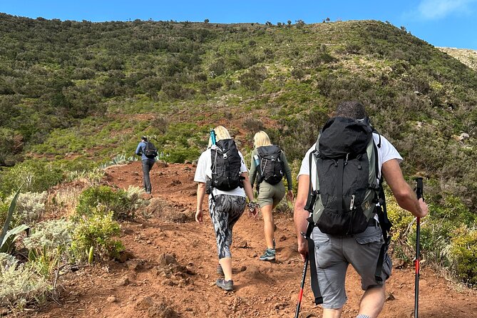 Tenerife: Hiking Tour in Anaga Mountains & Enchanted Forest - Highlights of the Tenerife Hiking Experience