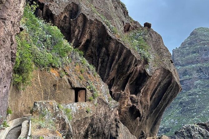 Tenerife: Hiking Tour in Anaga Mountains & Enchanted Forest - Participant Experiences and Feedback