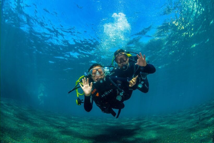 Tenerife: Introductory Dive for Cruise Ship Passengers - The Details of the Experience