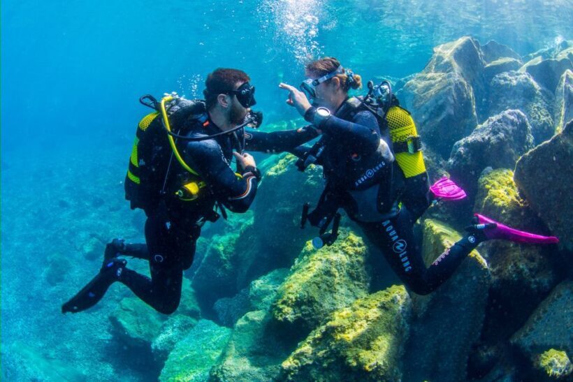 Tenerife: Introductory Dive for Cruise Ship Passengers - Who Should Book This?