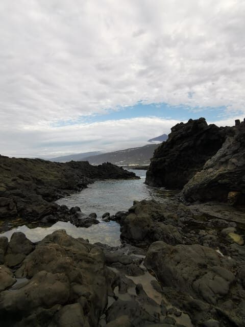 Tenerife Island, The Best Day Tour FOR CRUISE PASSENGERS - What the Reviews Say