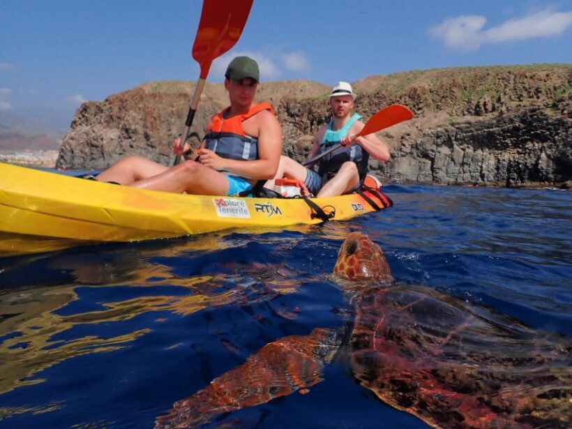 Tenerife: Kayak and Snorkel with Turtles, Wetsuits Included - A detailed look at the Tenerife Kayak and Snorkel Tour