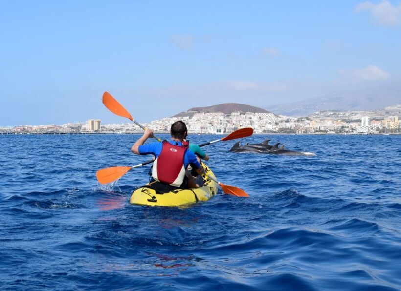Tenerife: Kayak and Snorkel with Turtles, Wetsuits Included - Final Thoughts
