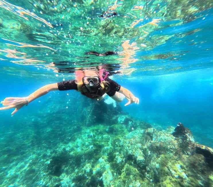 Tenerife: Kayak and Snorkeling Tour with Marine Life - Key Points