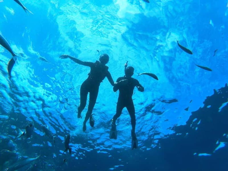 Tenerife: Kayak and Snorkeling Tour with Marine Life - An In-Depth Look at the Tour Experience