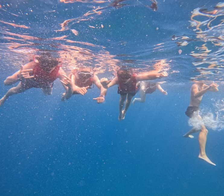 Tenerife: Kayak and Snorkeling Tour with Marine Life - FAQ