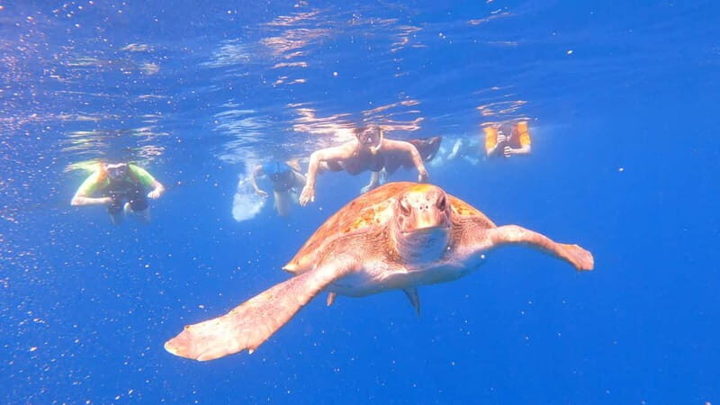 Tenerife: Kayak and Snorkeling Tour with Photos - Sea Caves and Scenic Stops