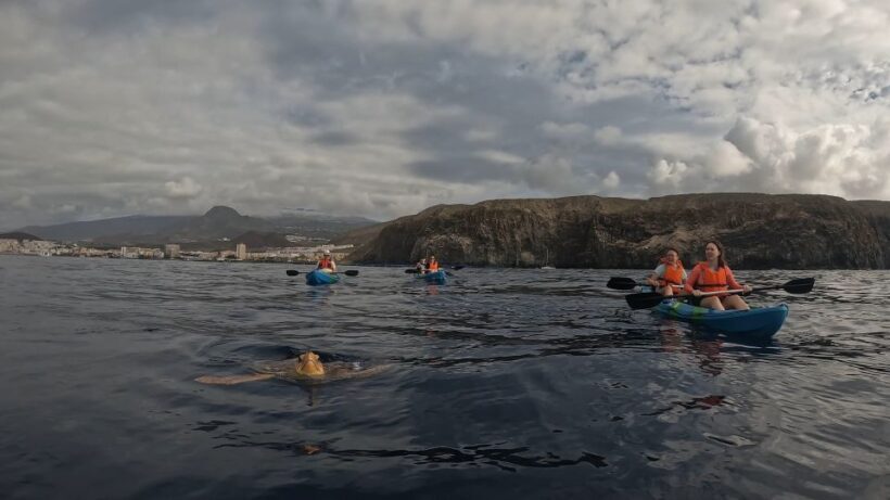 Tenerife: Kayak and Snorkeling Tour with Photos - The Experience: Real Opinions from Travelers