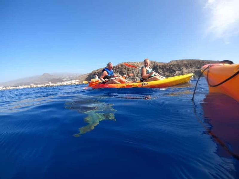 Tenerife: Kayak & Snorkel Tour with Snacks & Sea Life Safari - Practical Details